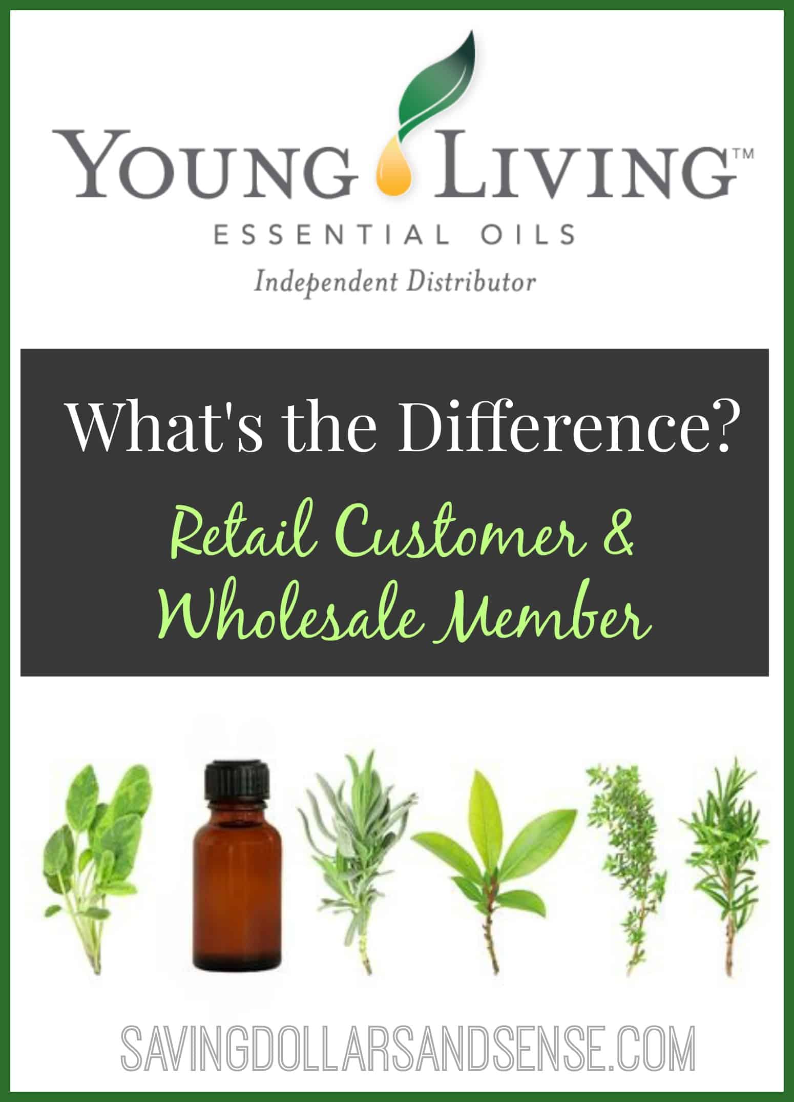 The Difference Between Retail Customer and Member - Saving Dollars & Sense