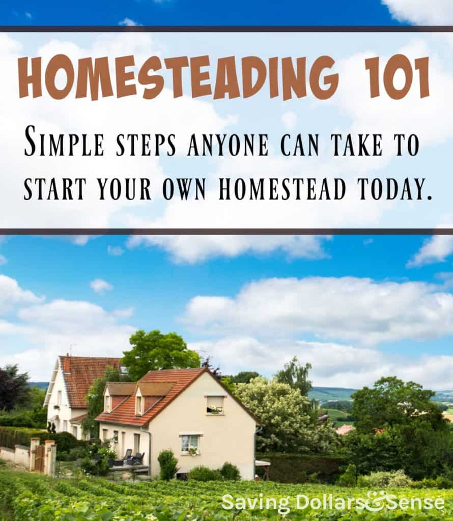 How to Begin Homesteading - Saving Dollars & Sense