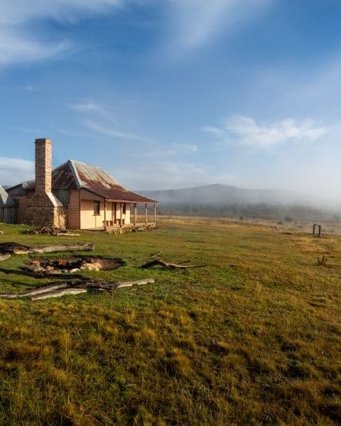 What Is Homesteading & How to Get Started - Saving Dollars and Sense