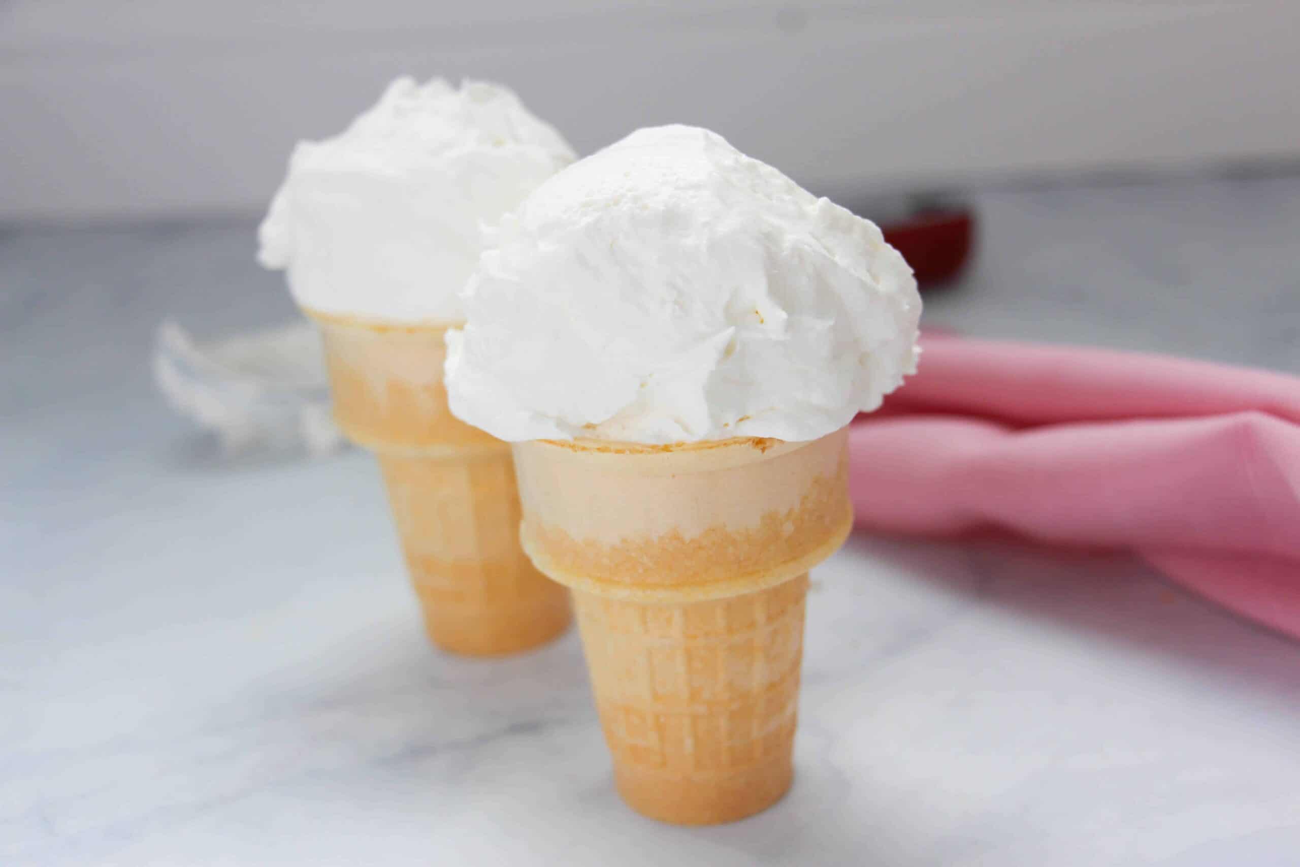 Dairy Free Coconut Ice Cream - Saving Dollars and Sense