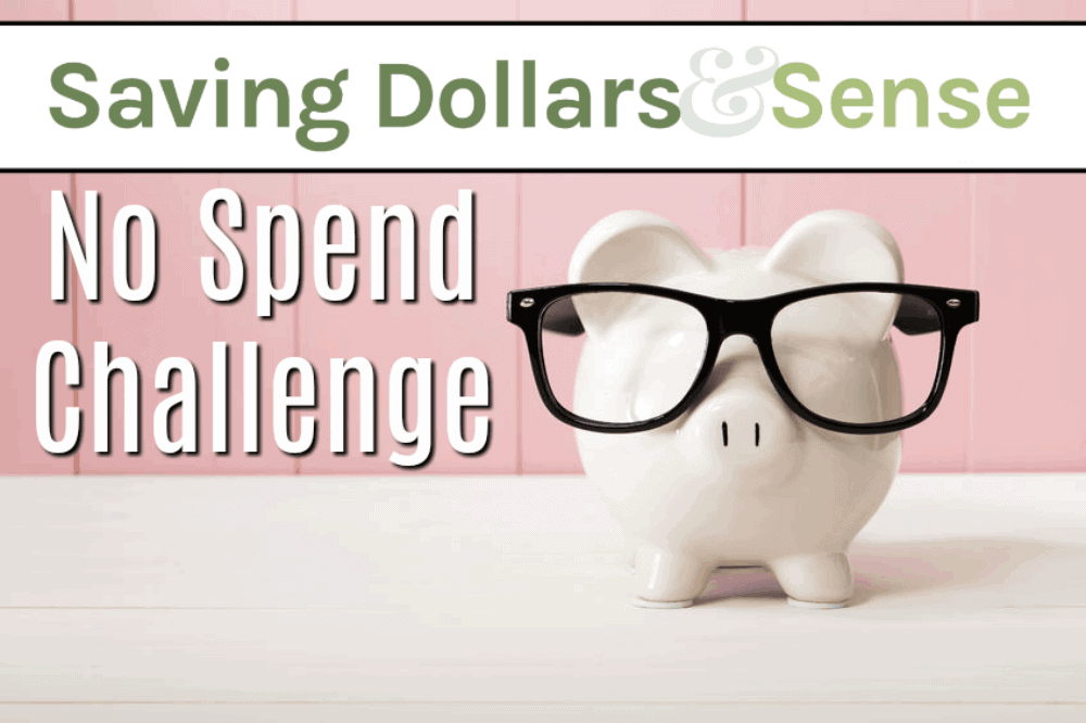 What Is A No Spend Challenge? | Saving Dollars & Sense