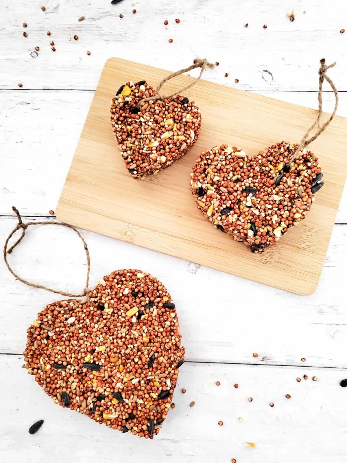 Easy DIY Birdseed Ornaments - Saving Dollars and Sense