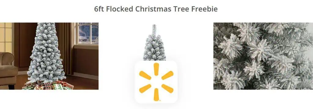 How to Get a FREE Christmas Tree - Saving Dollars and Sense