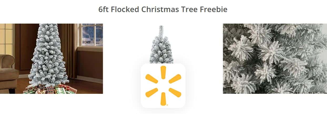 How to Get a FREE Christmas Tree - Saving Dollars and Sense