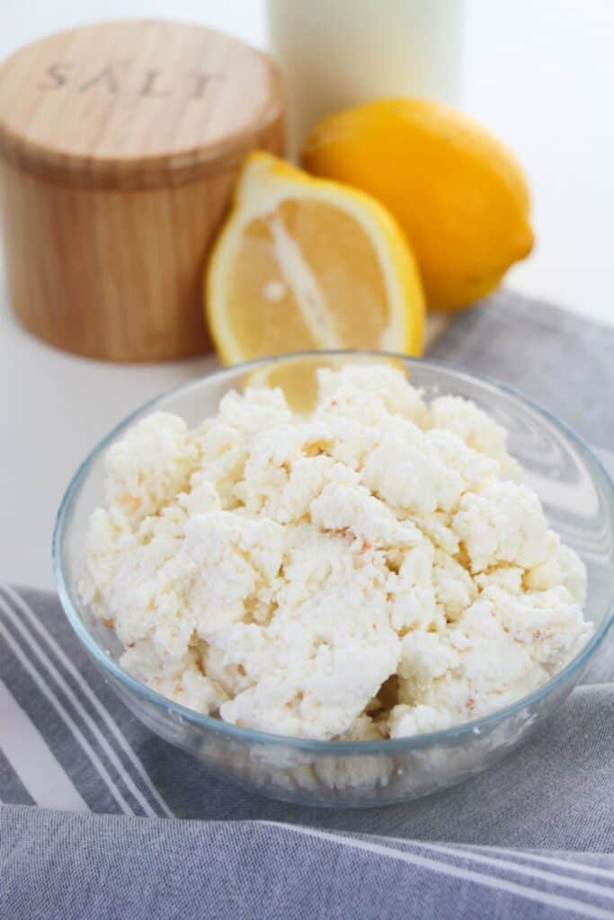Homemade Ricotta Recipe - Saving Dollars and Sense