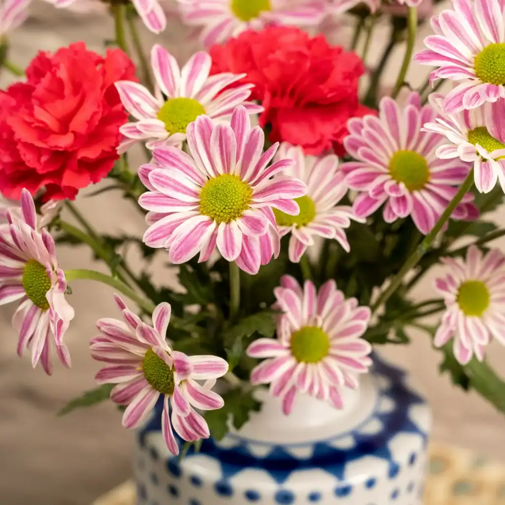 $14.95 Walmart Roses + Cheap Flower Delivery - Saving Dollars and Sense