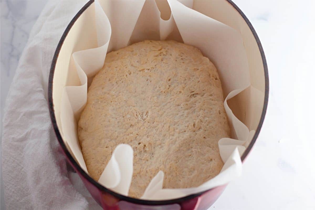 No Knead Rustic Dutch Oven Bread Recipe Saving Dollars And Sense