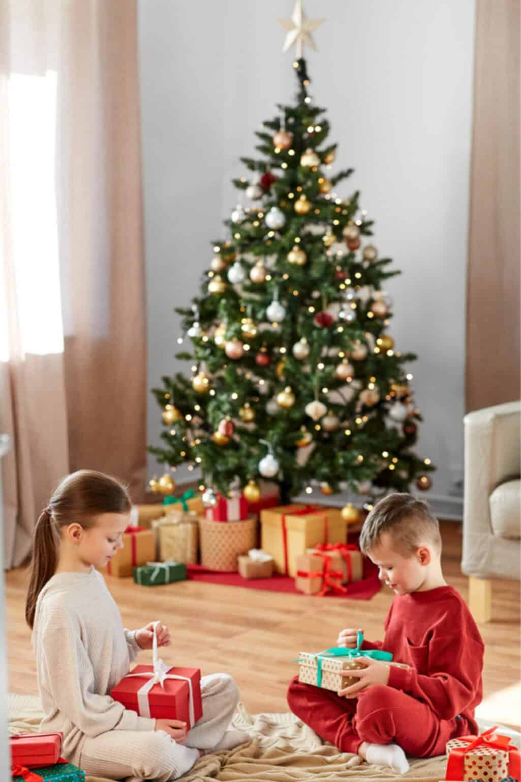 Where to get a Free Christmas Tree - Saving Dollars and Sense